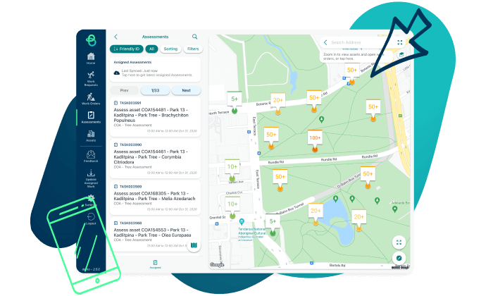 Assetic™ | Brightly